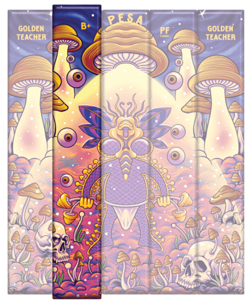 B+ Spore Syringe - Psilocybe Cubensis Spores - Lord Of Spore