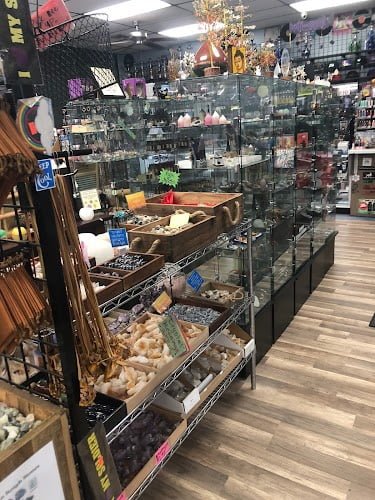 Florida Archives - Lord Of Spore